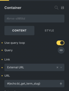 [Function] Get Term Slug in Bricks - BricksLabs