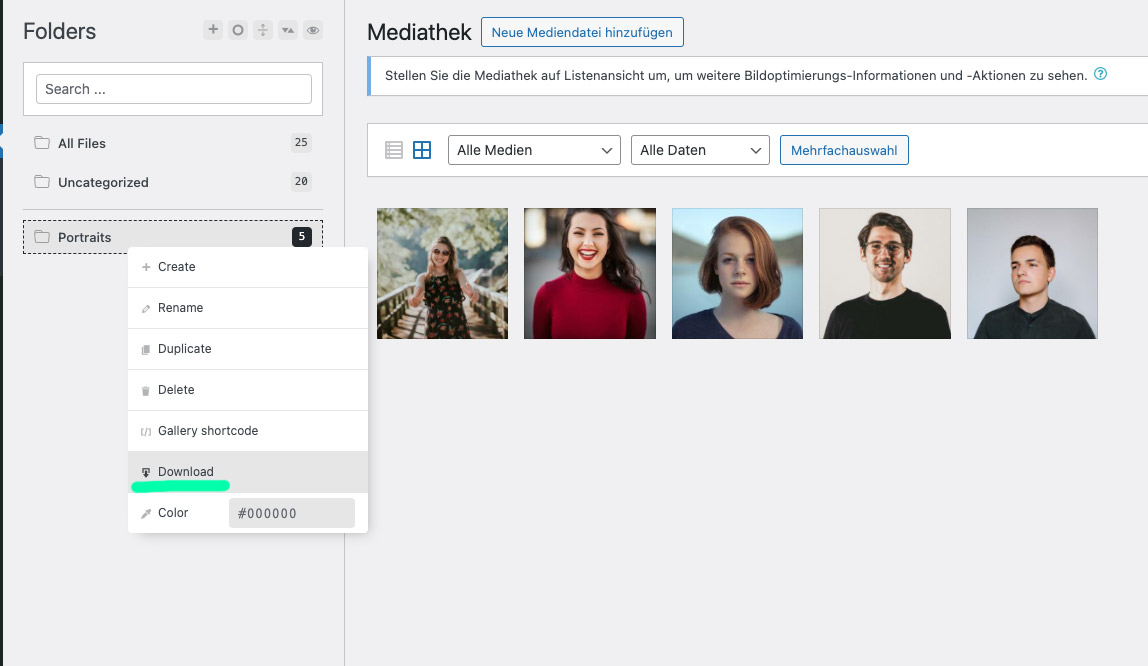 How to create custom themes in Bricks with HappyFiles Folders