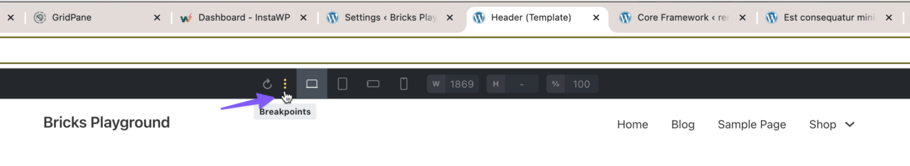 Core Framework in Bricks - BricksLabs