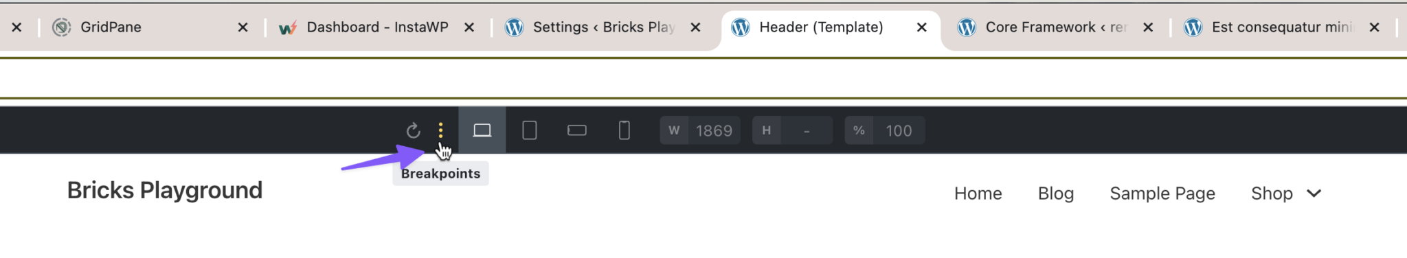 Core Framework in Bricks - BricksLabs